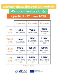 Apprentissage : pourquoi les salaires vont baisser au 1er mars